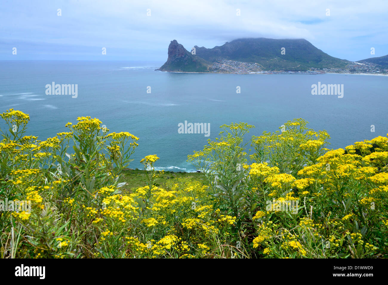 Hout baai -Fotos und -Bildmaterial in hoher Auflösung – Alamy