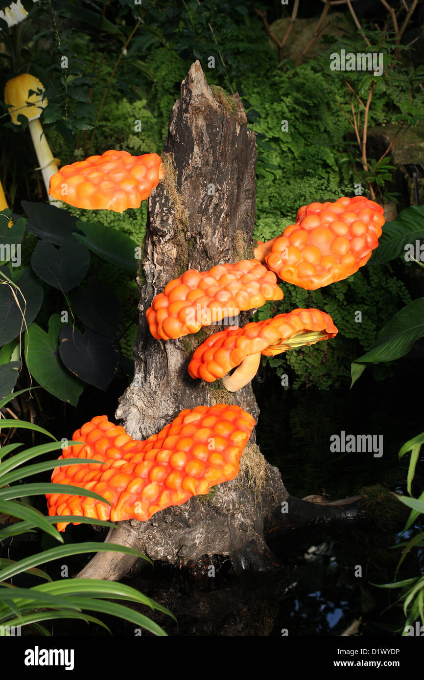 Riesen Orange Halterung Pilze Skulpturen von Emma Garofalo bei Kew ...