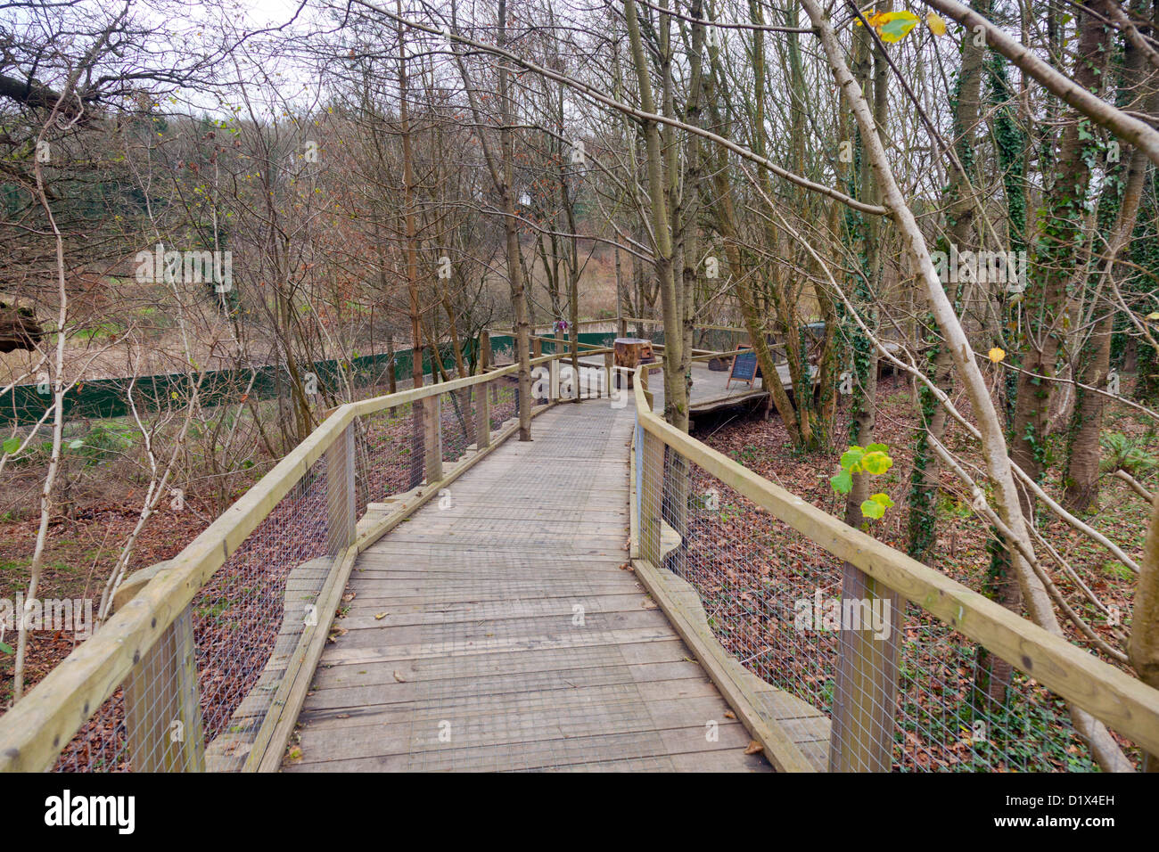 Devon zaun -Fotos und -Bildmaterial in hoher Auflösung – Alamy