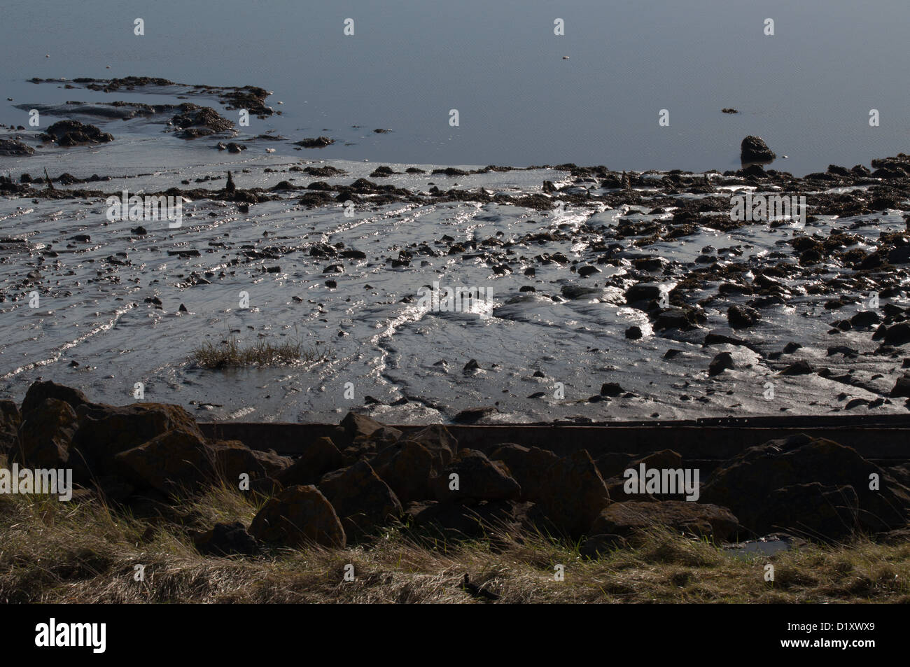 Kiesel und schlamm -Fotos und -Bildmaterial in hoher Auflösung – Alamy