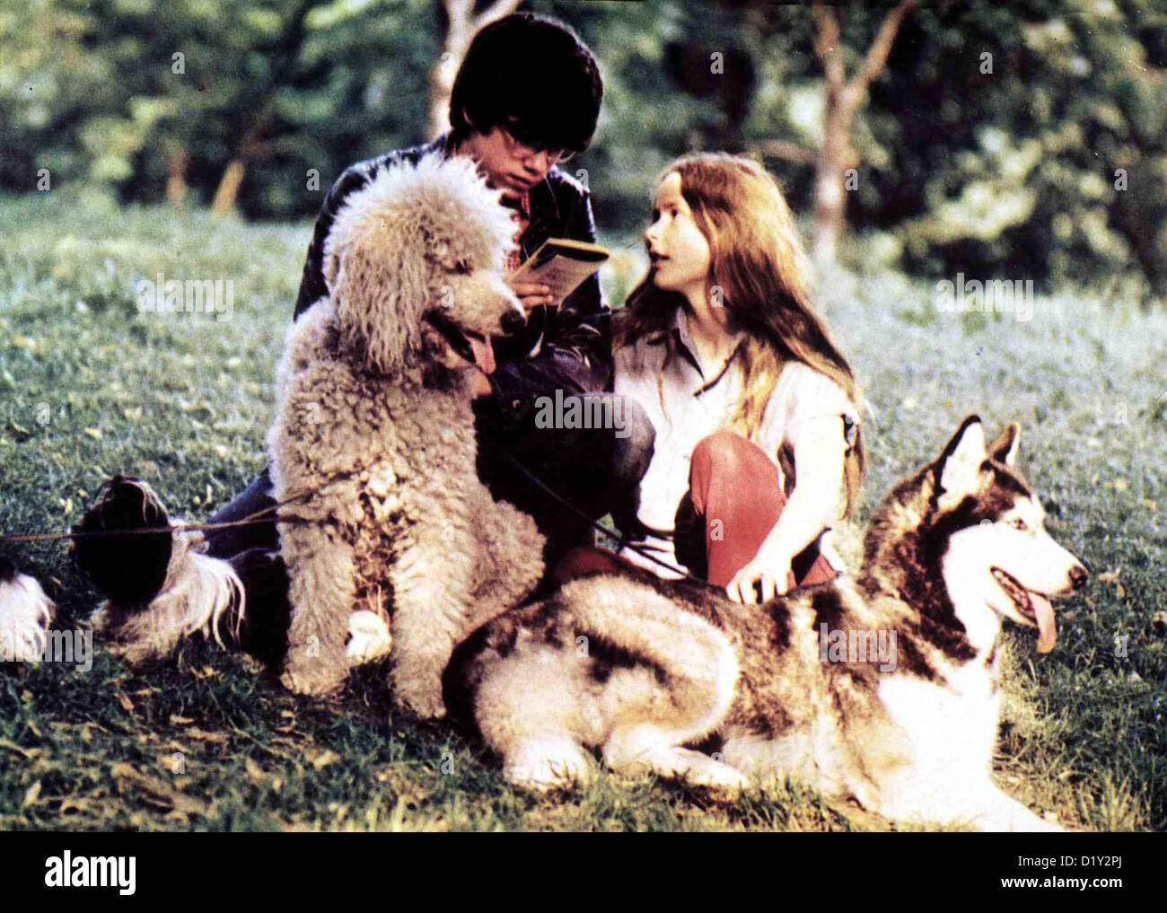 Robby benson glynnis oconnor -Fotos und -Bildmaterial in hoher Auflösung – Alamy