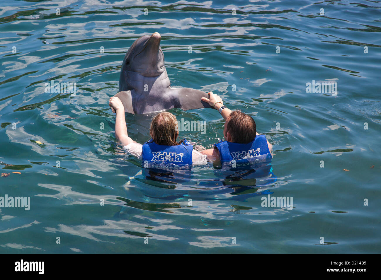 Zwei Menschen schwimmen mit einem Delphin in Xel-Ha-Wasserpark, Tulum ...