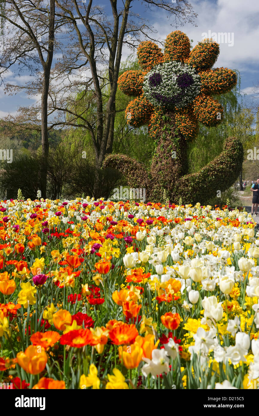 Blumeninsel mainau bodensee baden wurttemberg -Fotos und -Bildmaterial ...