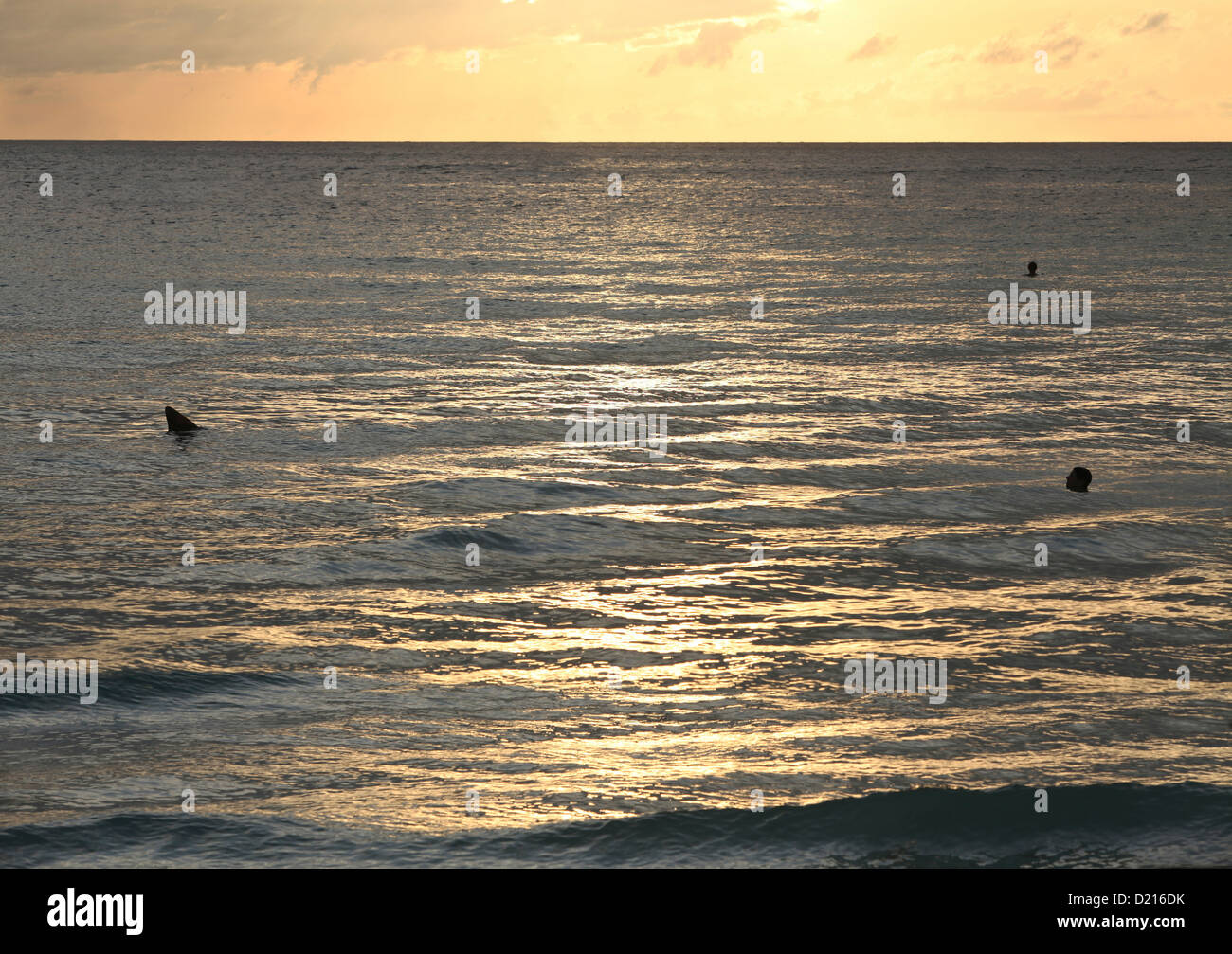 Menschen im meer -Fotos und -Bildmaterial in hoher Auflösung – Alamy