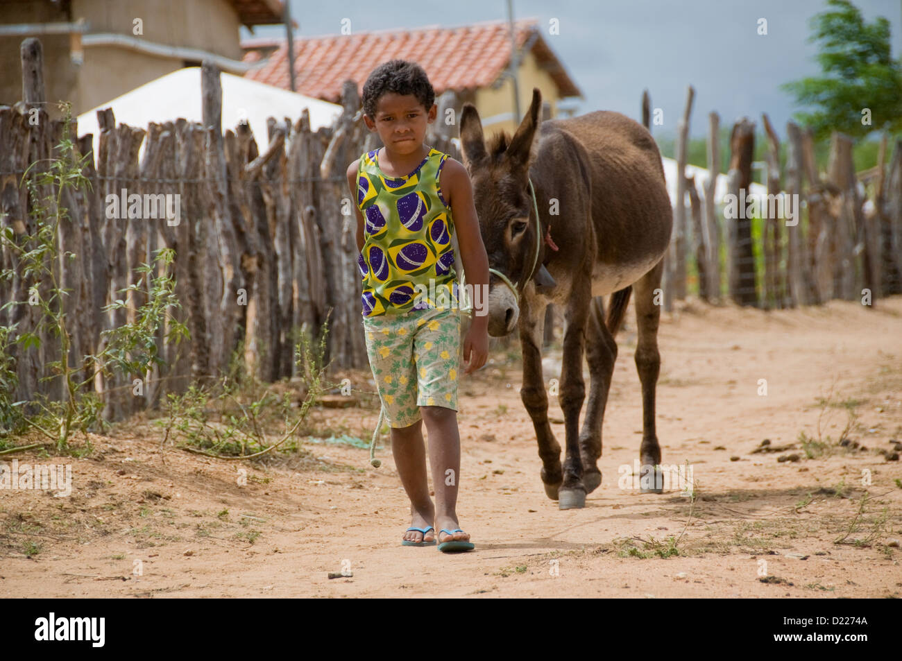 Esel junge -Fotos und -Bildmaterial in hoher Auflösung – Alamy