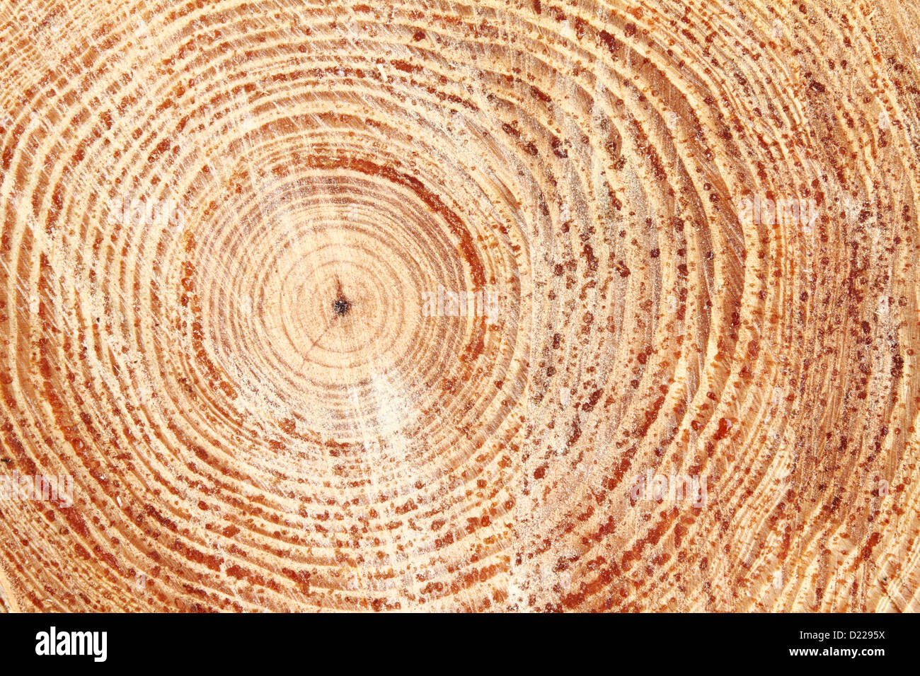 Natur konzentrische kreise -Fotos und -Bildmaterial in hoher Auflösung – Alamy