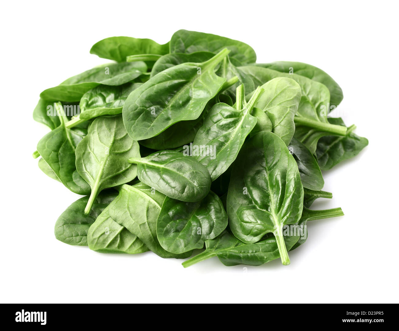 Frischer babyspinat -Fotos und -Bildmaterial in hoher Auflösung – Alamy