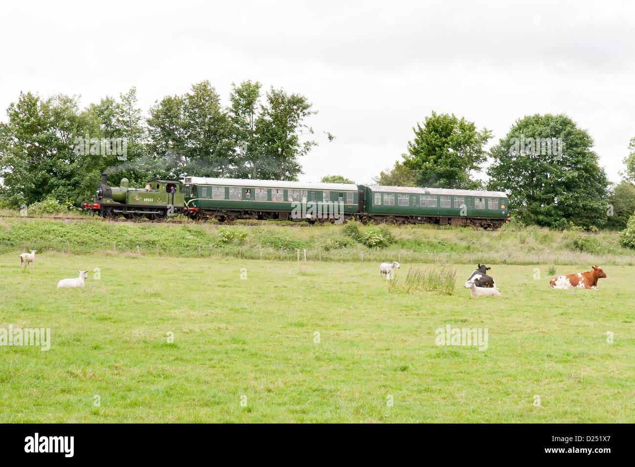 Dampflok zieht einen Zug auf die Wensleydale-Eisenbahn Stockfotografie ...