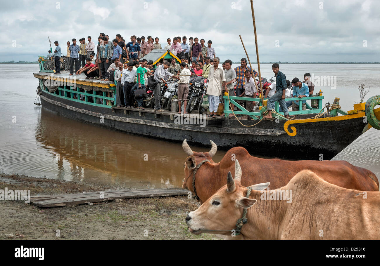Öffentliche Fähre kommt mit Passagieren am Nimati Ghat, Jorhat, von der Insel Majuli in Assam ...