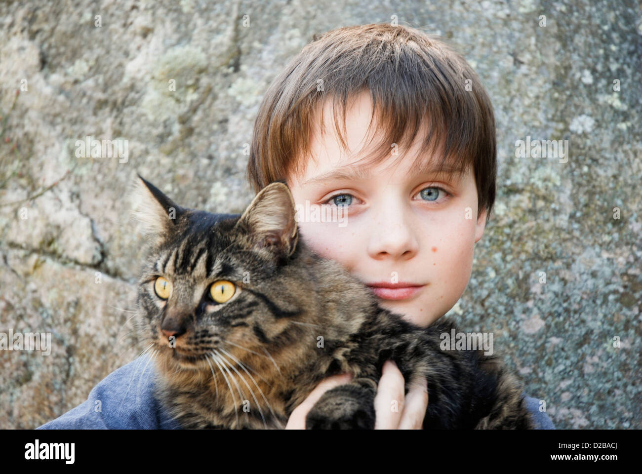 Animales para colorear para niños -Fotos und -Bildmaterial in hoher ...