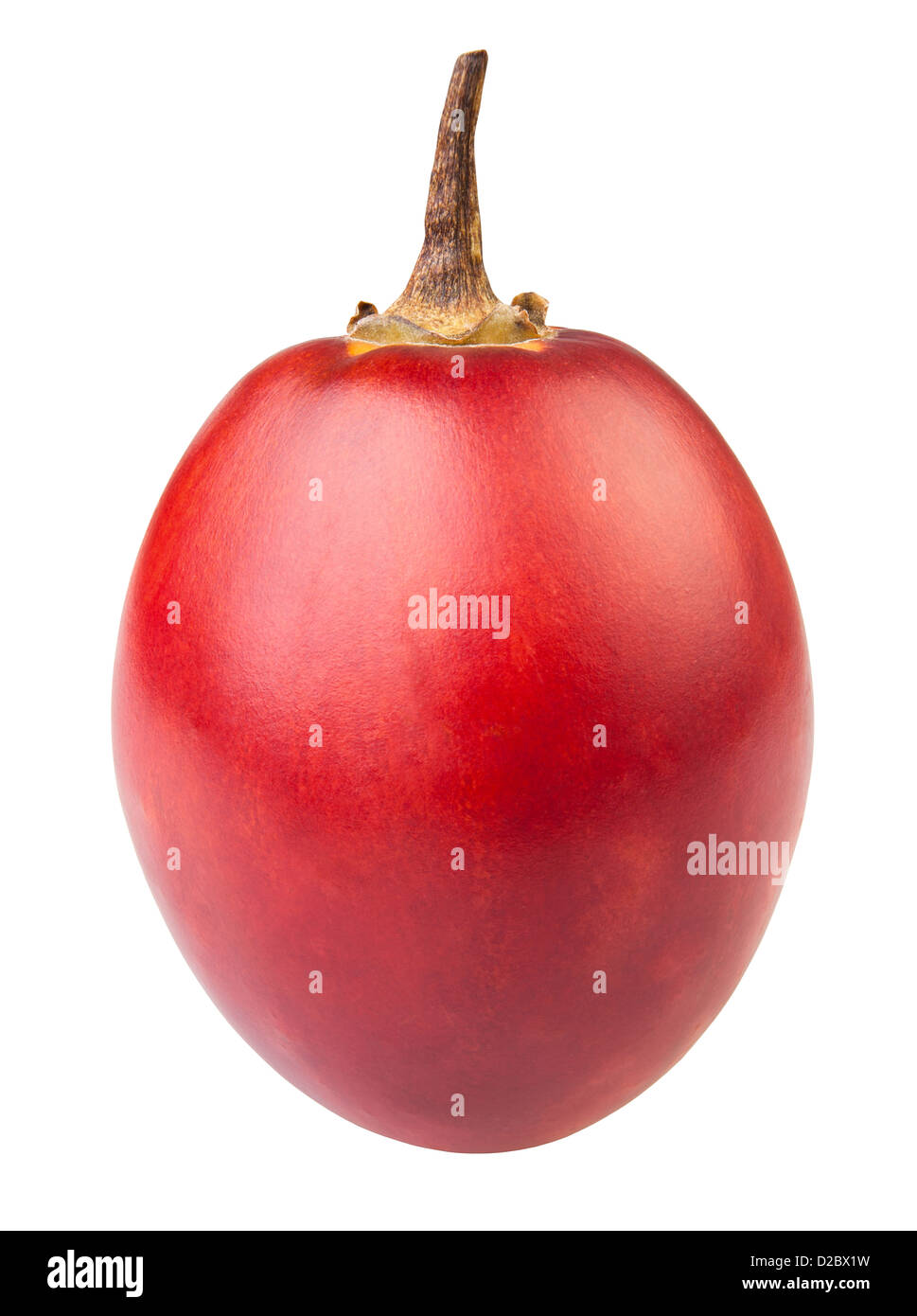 Tamarillo frucht -Fotos und -Bildmaterial in hoher Auflösung – Alamy