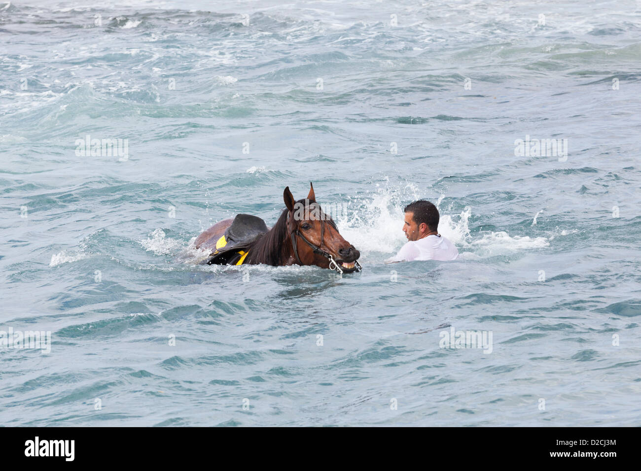 Jeder 20. Januar am Strand von La Enramada in Costa Adeje, Teneriffa, feierte das fest von San ...