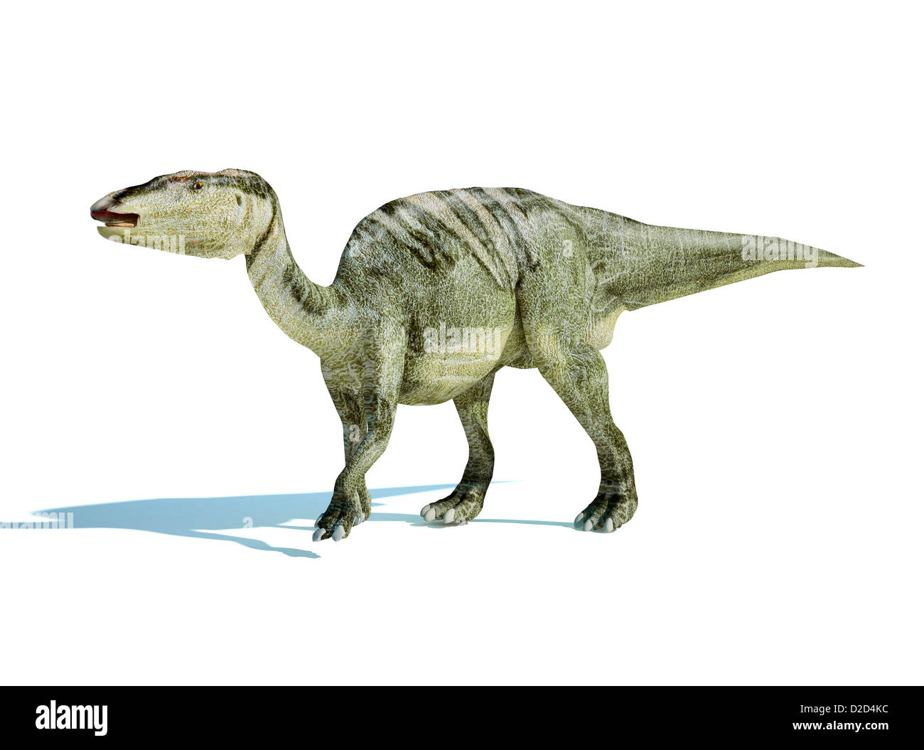 Edmontosaurus (edmontosaurus) Stockfotos & Edmontosaurus (edmontosaurus ...