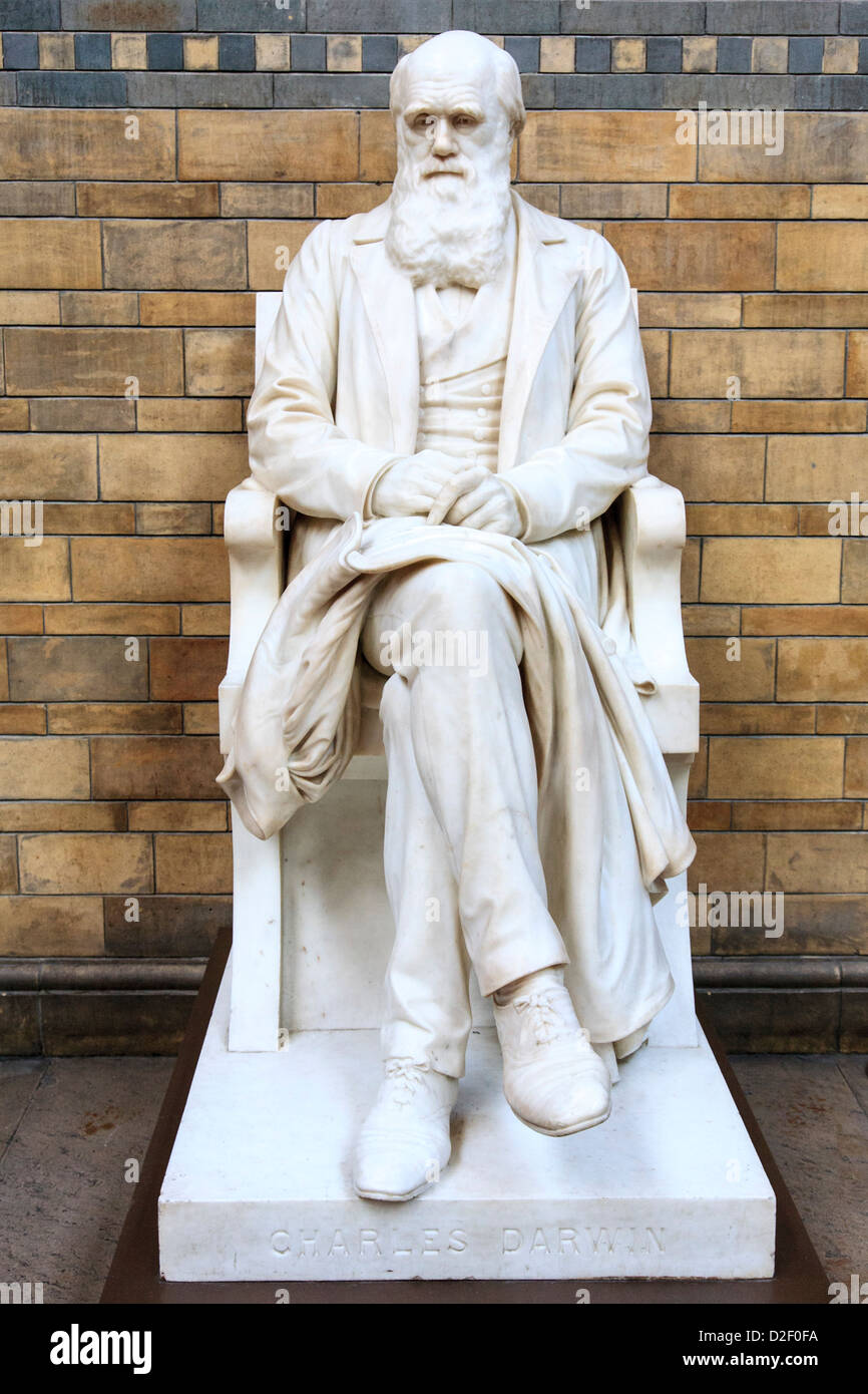 Statue charles darwin naturkundemuseum -Fotos und -Bildmaterial in ...