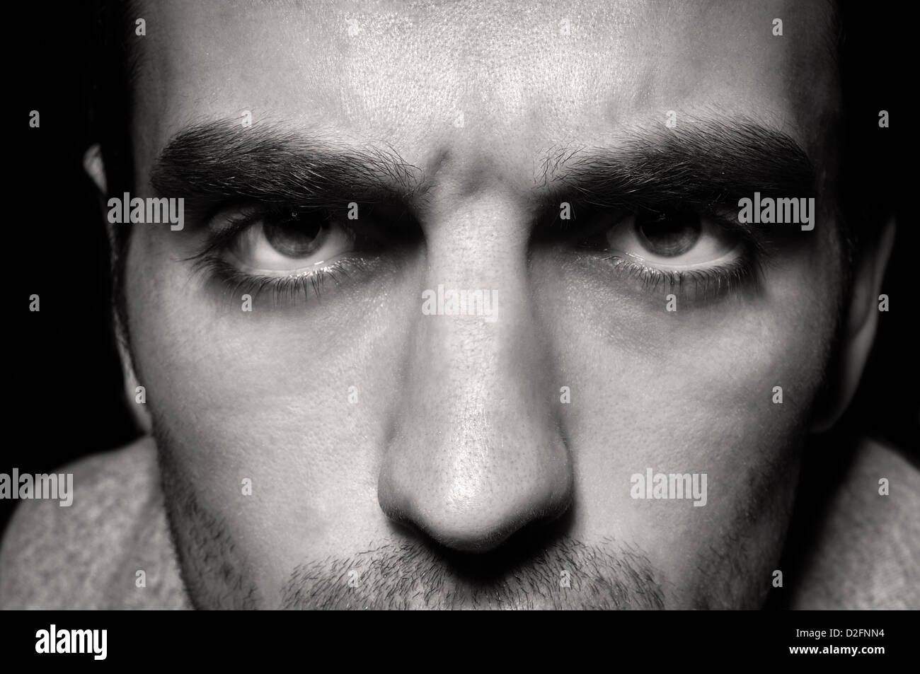 Aggressive augen -Fotos und -Bildmaterial in hoher Auflösung – Alamy