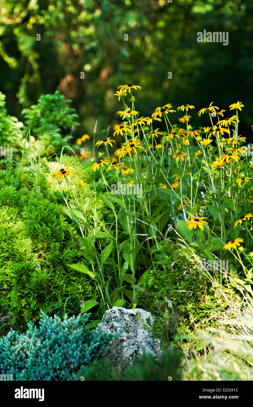 Steingarten blumen -Fotos und -Bildmaterial in hoher Auflösung – Alamy