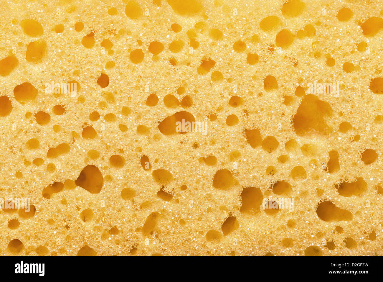 Sponge texture -Fotos und -Bildmaterial in hoher Auflösung – Alamy