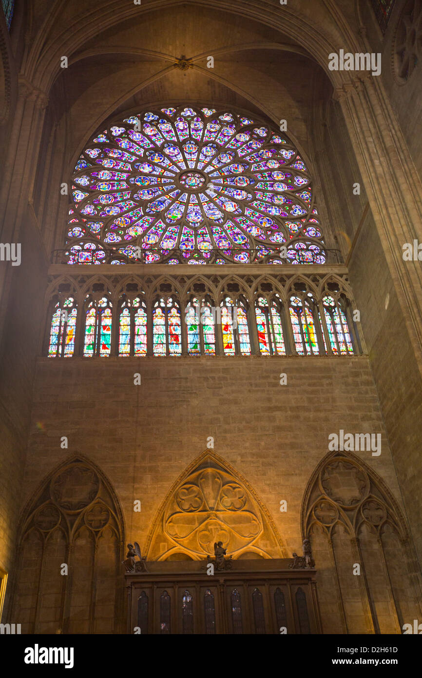 North rose window notre dame cathedral -Fotos und -Bildmaterial in ...