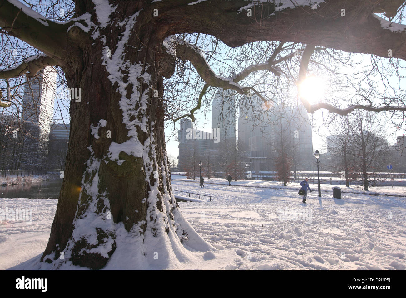 Das zentrum von haag -Fotos und -Bildmaterial in hoher Auflösung – Alamy