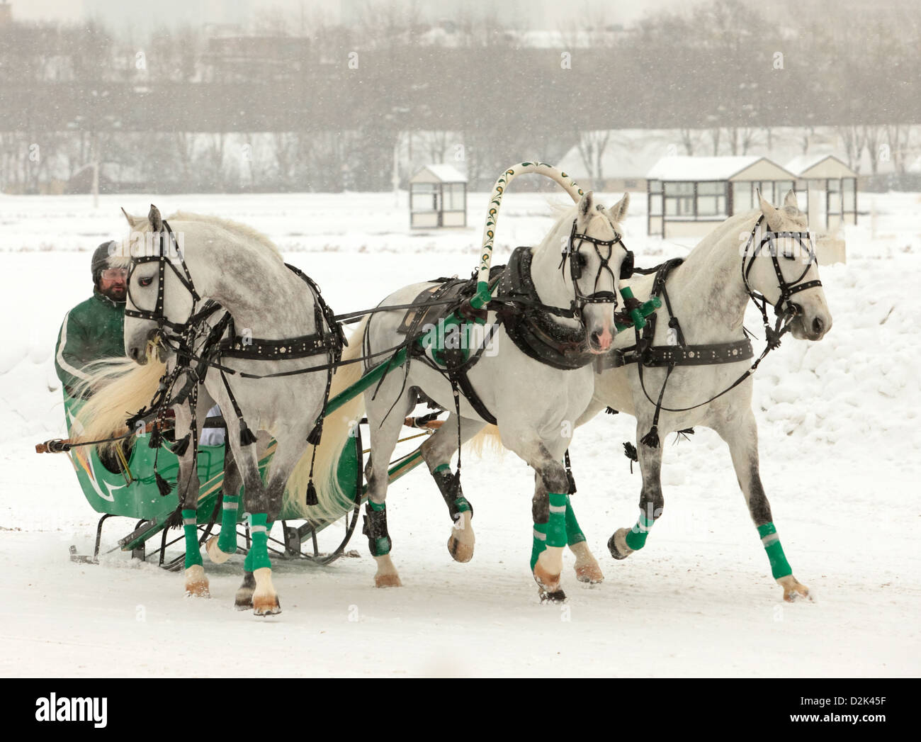 Troika in snow russia -Fotos und -Bildmaterial in hoher Auflösung – Alamy