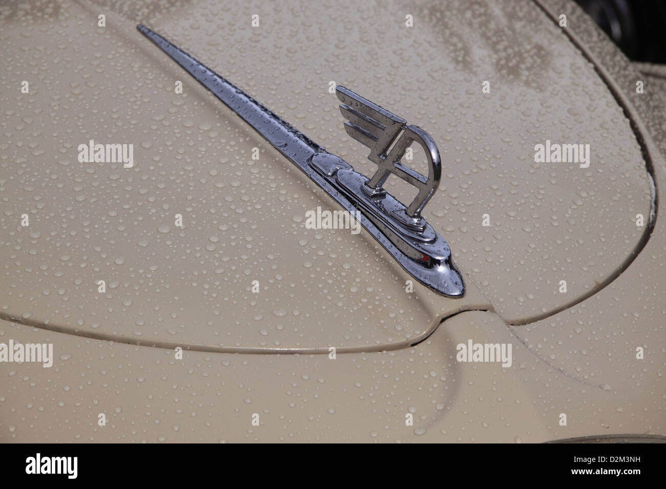 Austin emblem -Fotos und -Bildmaterial in hoher Auflösung – Alamy