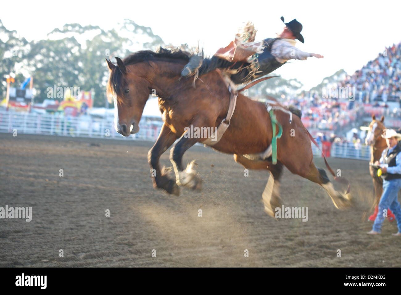 Das ruckelnde pferd wilder westen -Fotos und -Bildmaterial in hoher ...