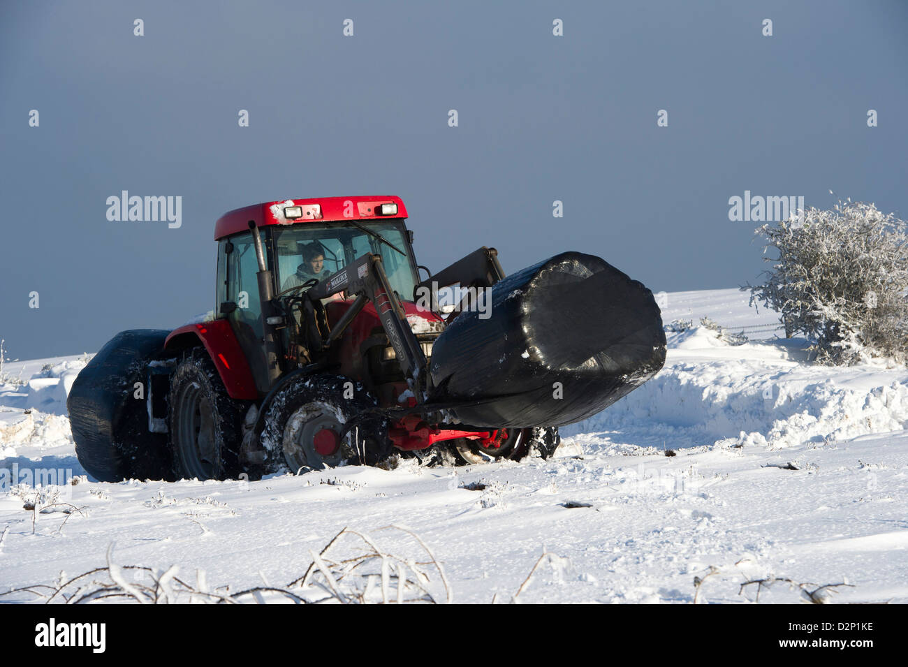 Eis liefern -Fotos und -Bildmaterial in hoher Auflösung – Alamy