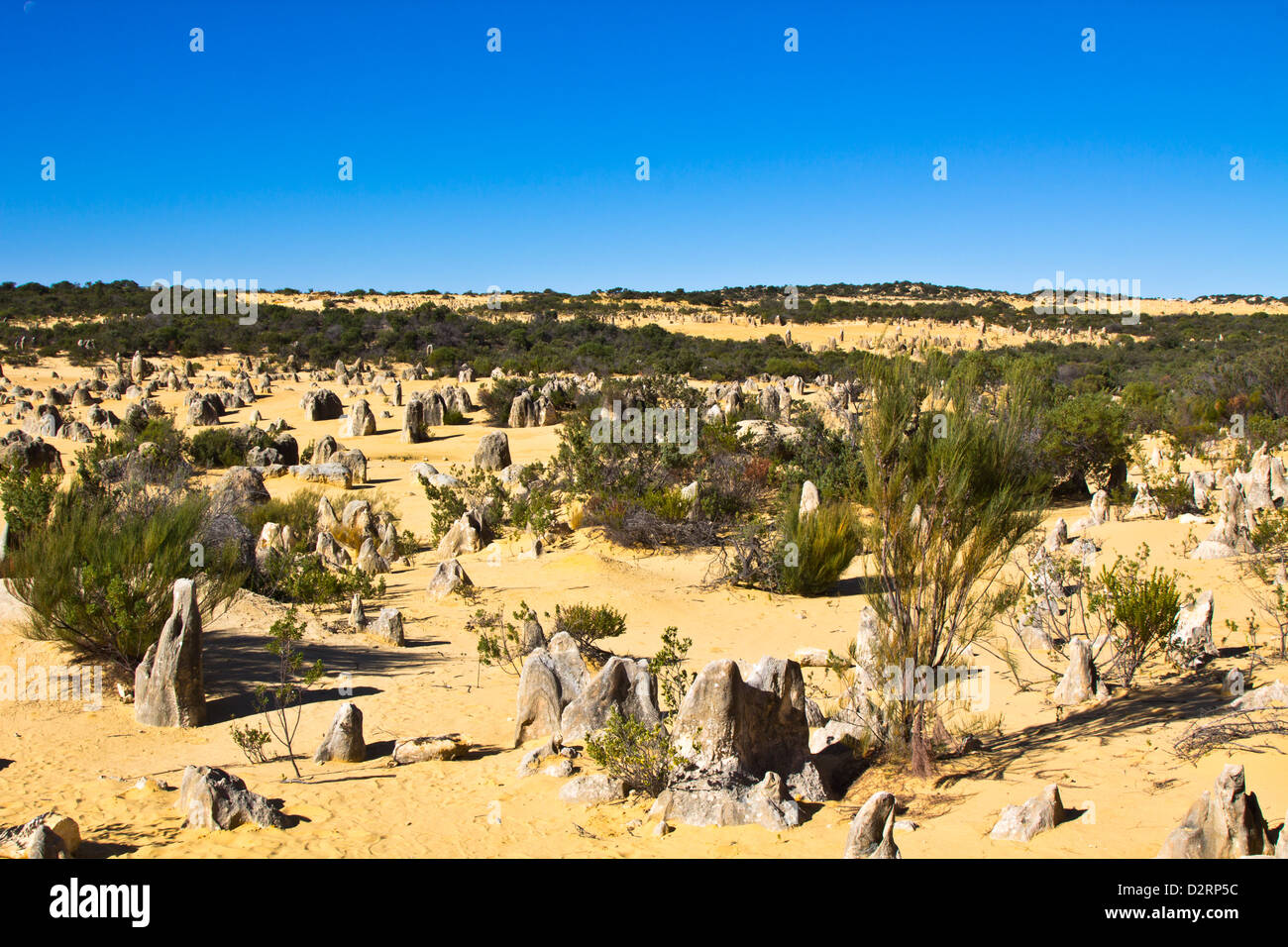 Pinnacles australia -Fotos und -Bildmaterial in hoher Auflösung – Alamy