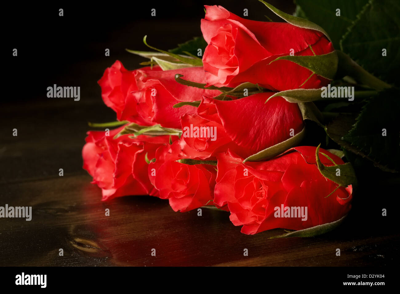 Verwunderlich Rote Rosen 3810 Fotos
