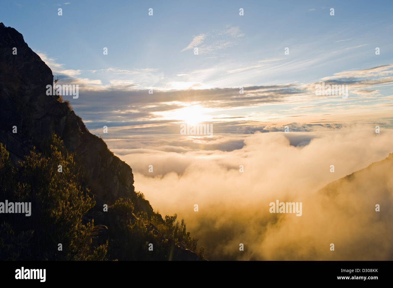 Nationalpark chirripo -Fotos und -Bildmaterial in hoher Auflösung – Alamy