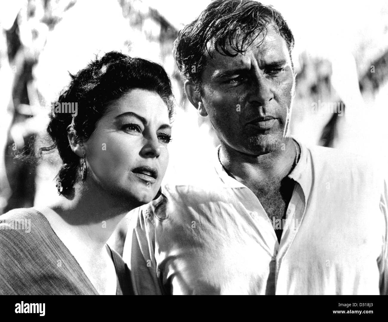 Der nachtleguan -Fotos und -Bildmaterial in hoher Auflösung – Alamy