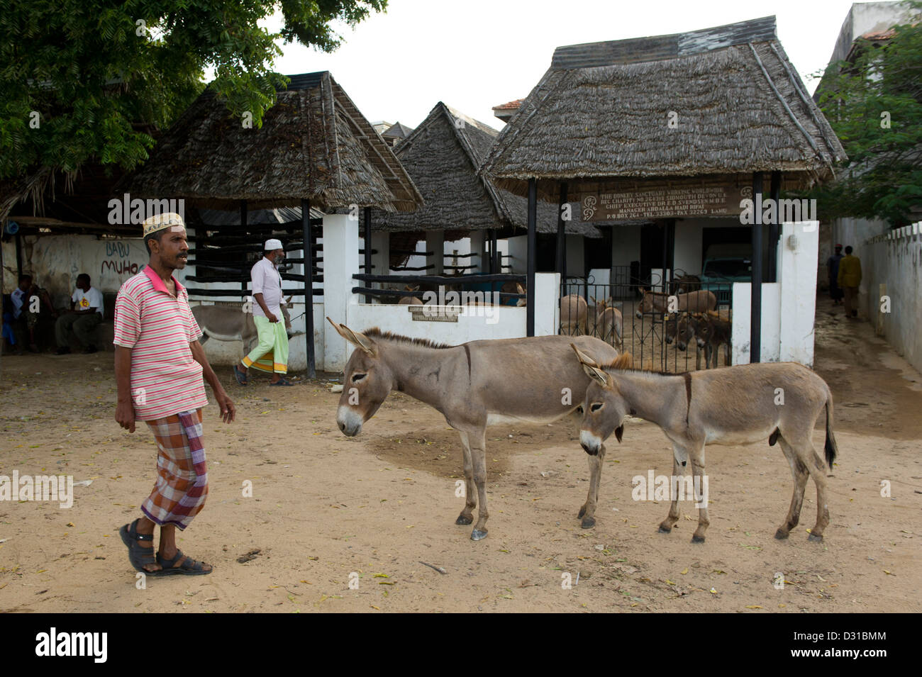 Lamu kenya donkey -Fotos und -Bildmaterial in hoher Auflösung – Alamy