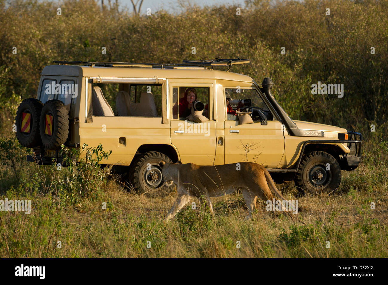 Safari Auto Stockfotos und -bilder Kaufen - Alamy