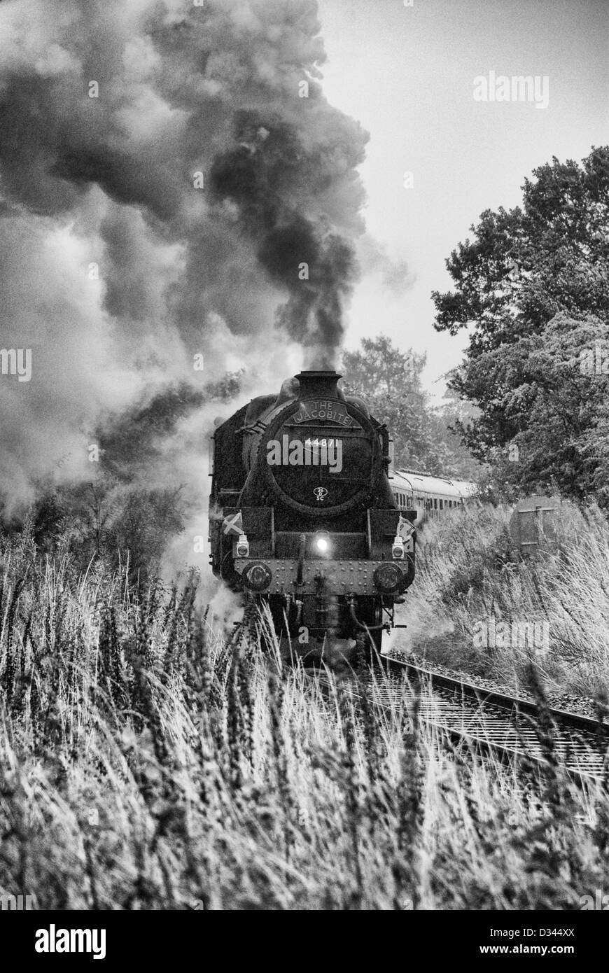 Hochland express -Fotos und -Bildmaterial in hoher Auflösung – Alamy