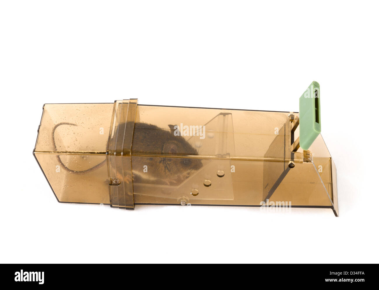 Fangen oder freigeben -Fotos und -Bildmaterial in hoher Auflösung – Alamy