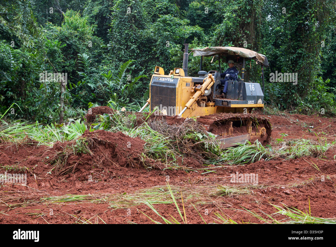 Rodung regenwald -Fotos und -Bildmaterial in hoher Auflösung - Seite 4 ...