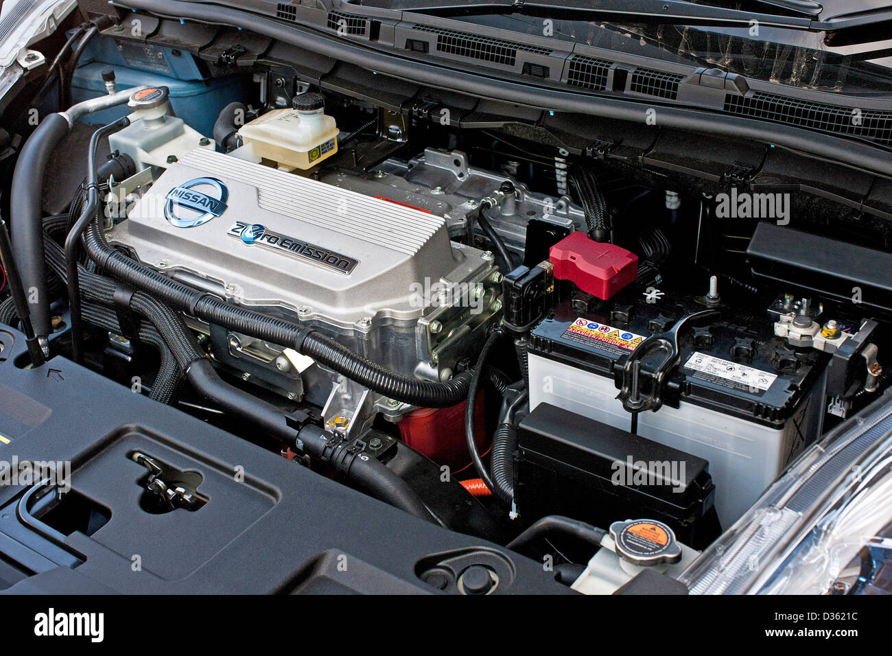Nissan Leaf Enull