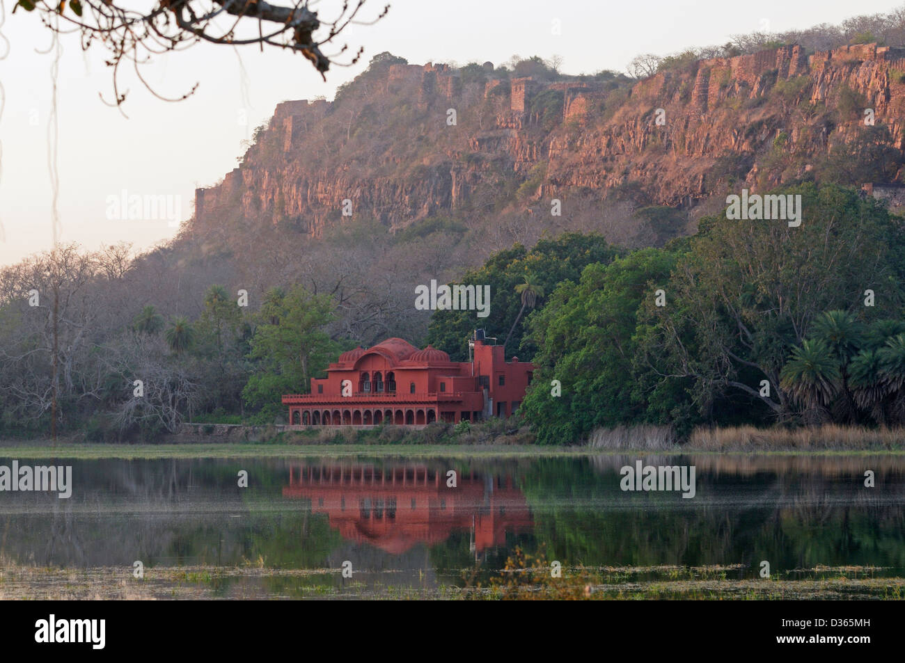 Mahal Jogi Rest Waldhaus, am Rande des Padam Talao See in Ranthambore ...