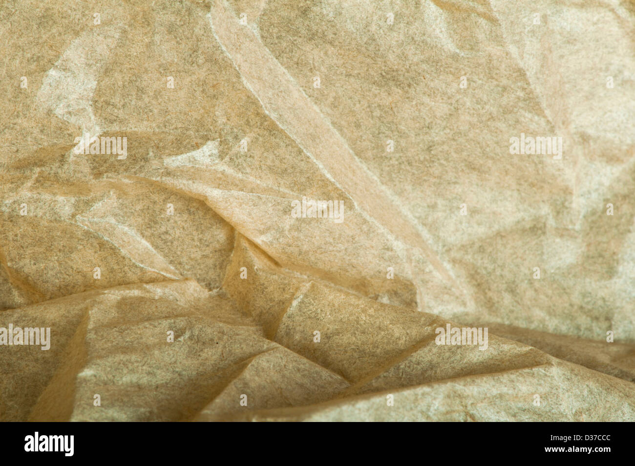 Carta pergamena beige -Fotos und -Bildmaterial in hoher Auflösung – Alamy
