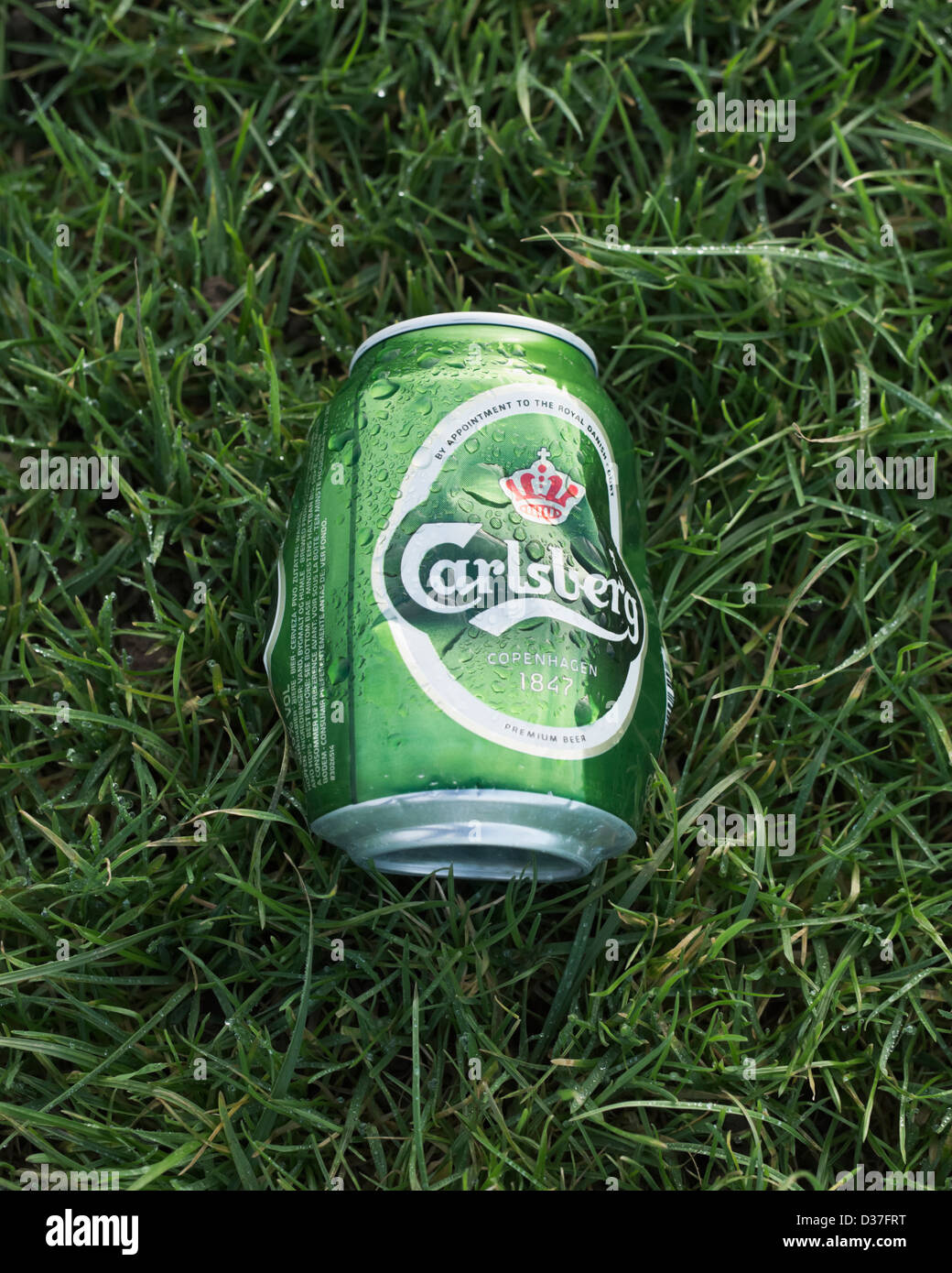 Grüne bierdose -Fotos und -Bildmaterial in hoher Auflösung – Alamy