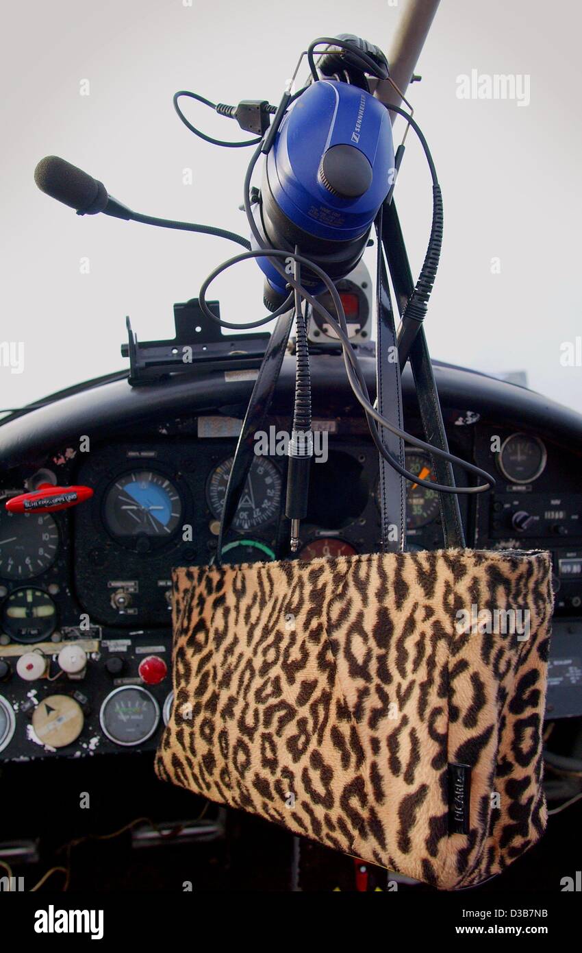 Circus leopard -Fotos und -Bildmaterial in hoher Auflösung – Alamy