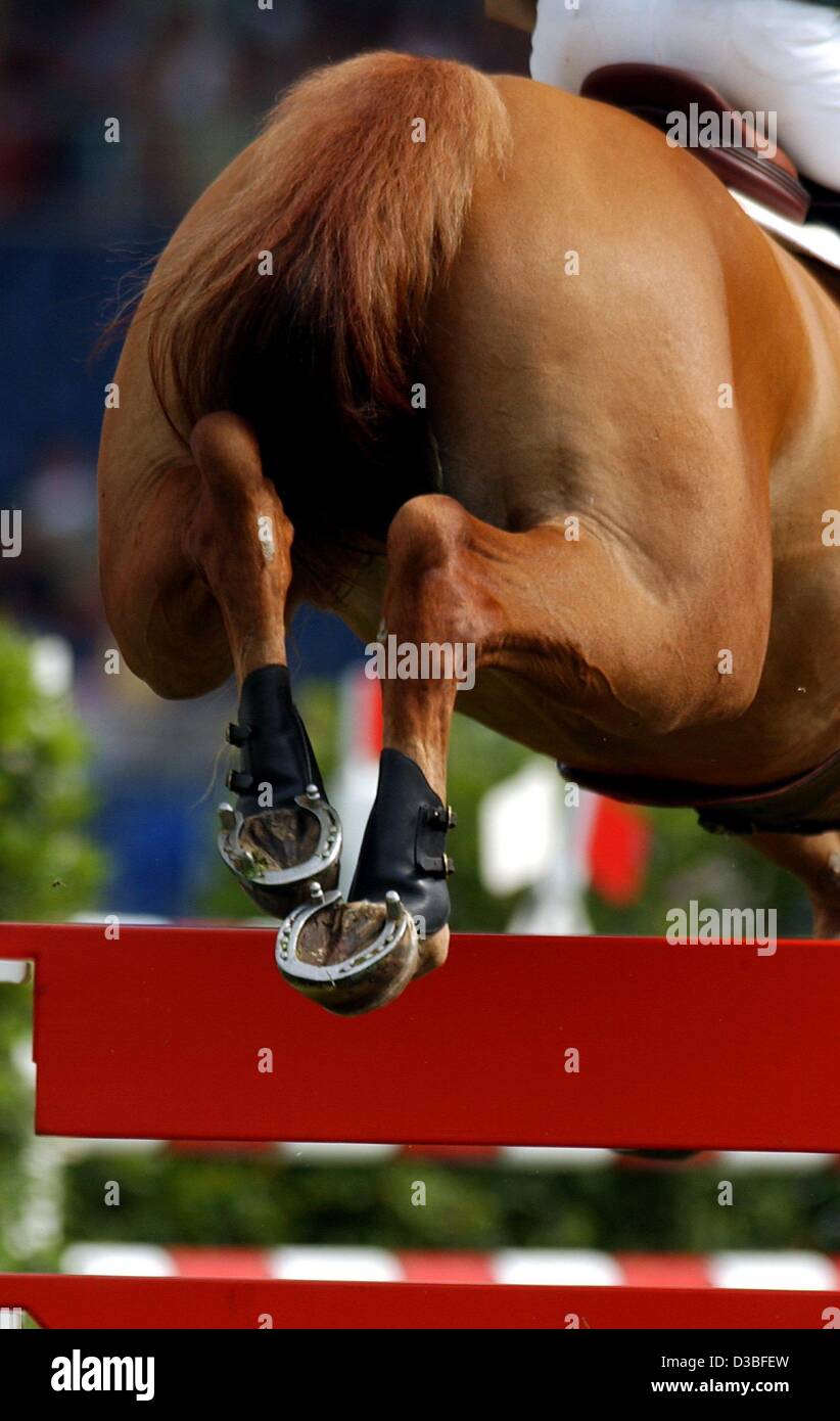 Sport spo reiter reiter deutschland -Fotos und -Bildmaterial in hoher ...