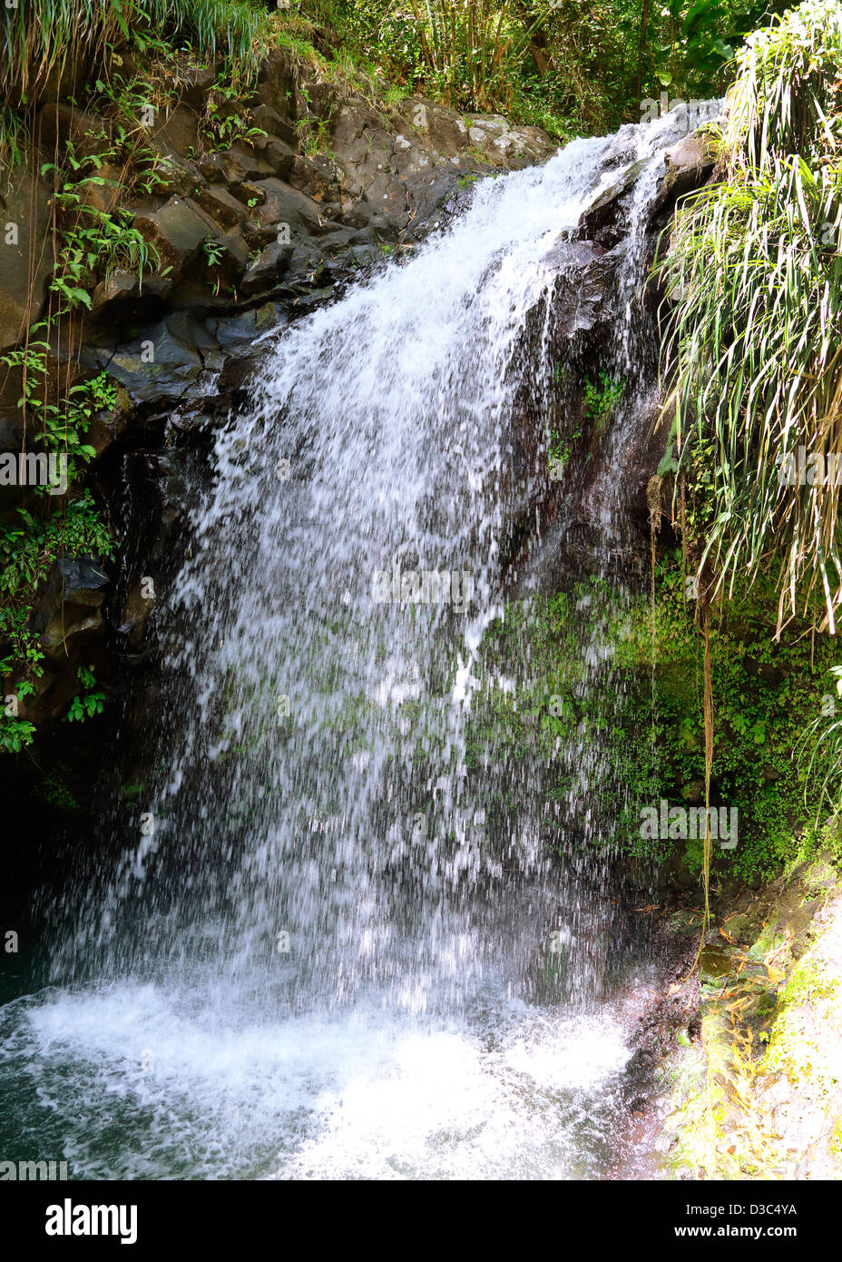ANNANDALE WASSERFÄLLE, GRAND ETANG FOREST RESERVE, GRENADA ...