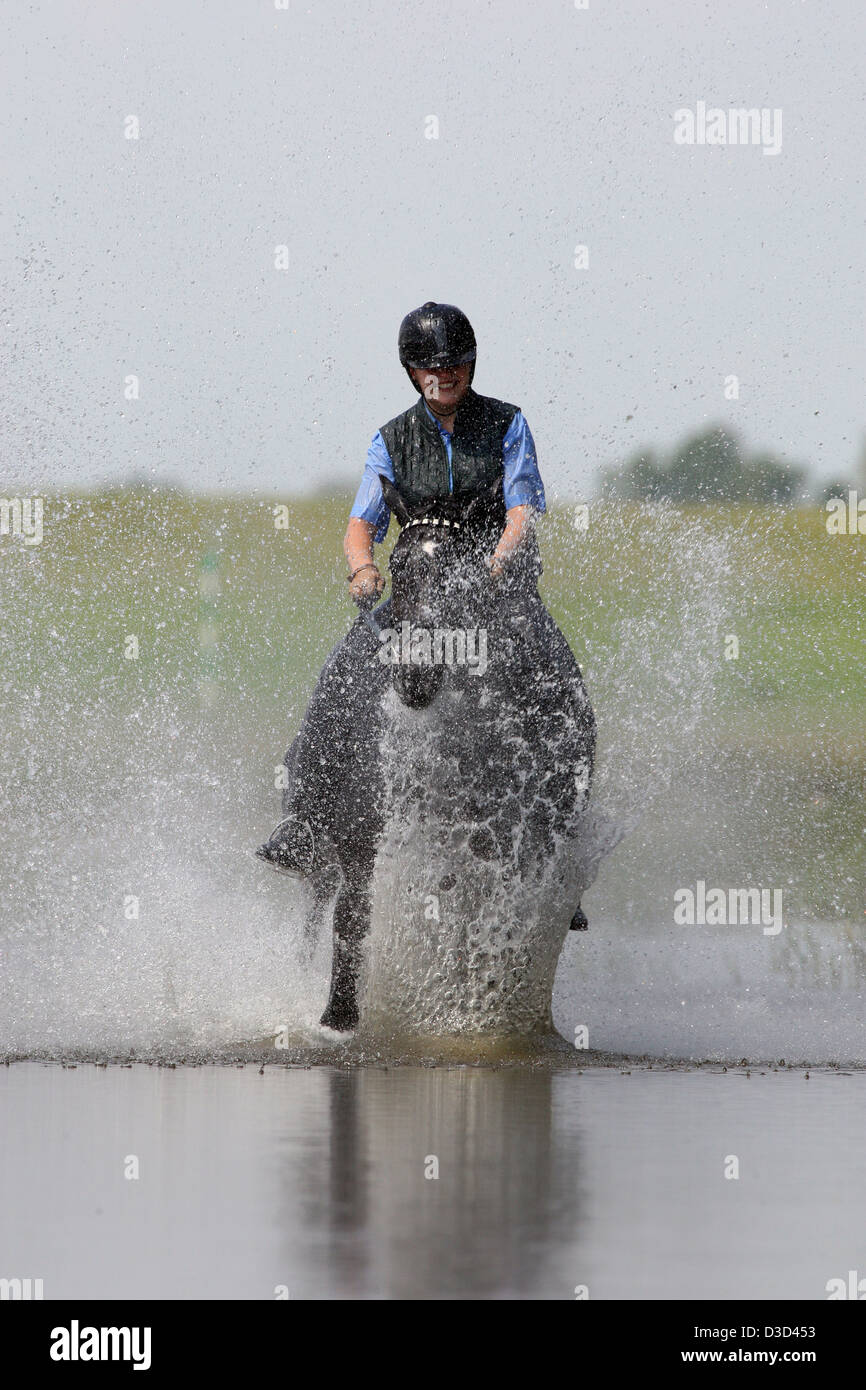 Reiter galoppieren im galopp -Fotos und -Bildmaterial in hoher Auflösung - Seite 2 - Alamy