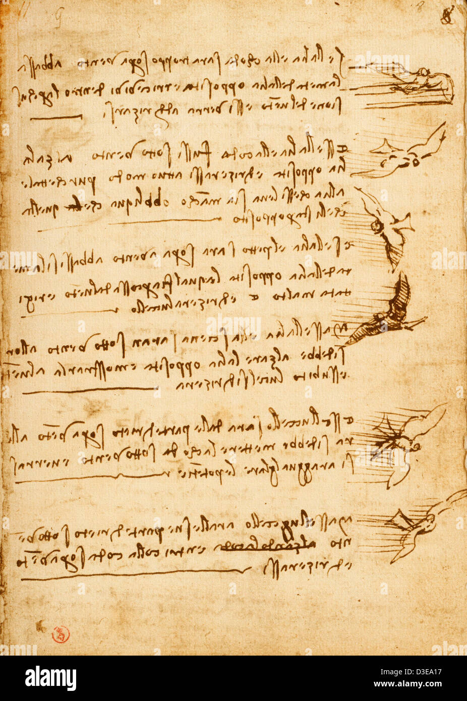 Leonardo da vinci codex atlanticus -Fotos und -Bildmaterial in hoher ...