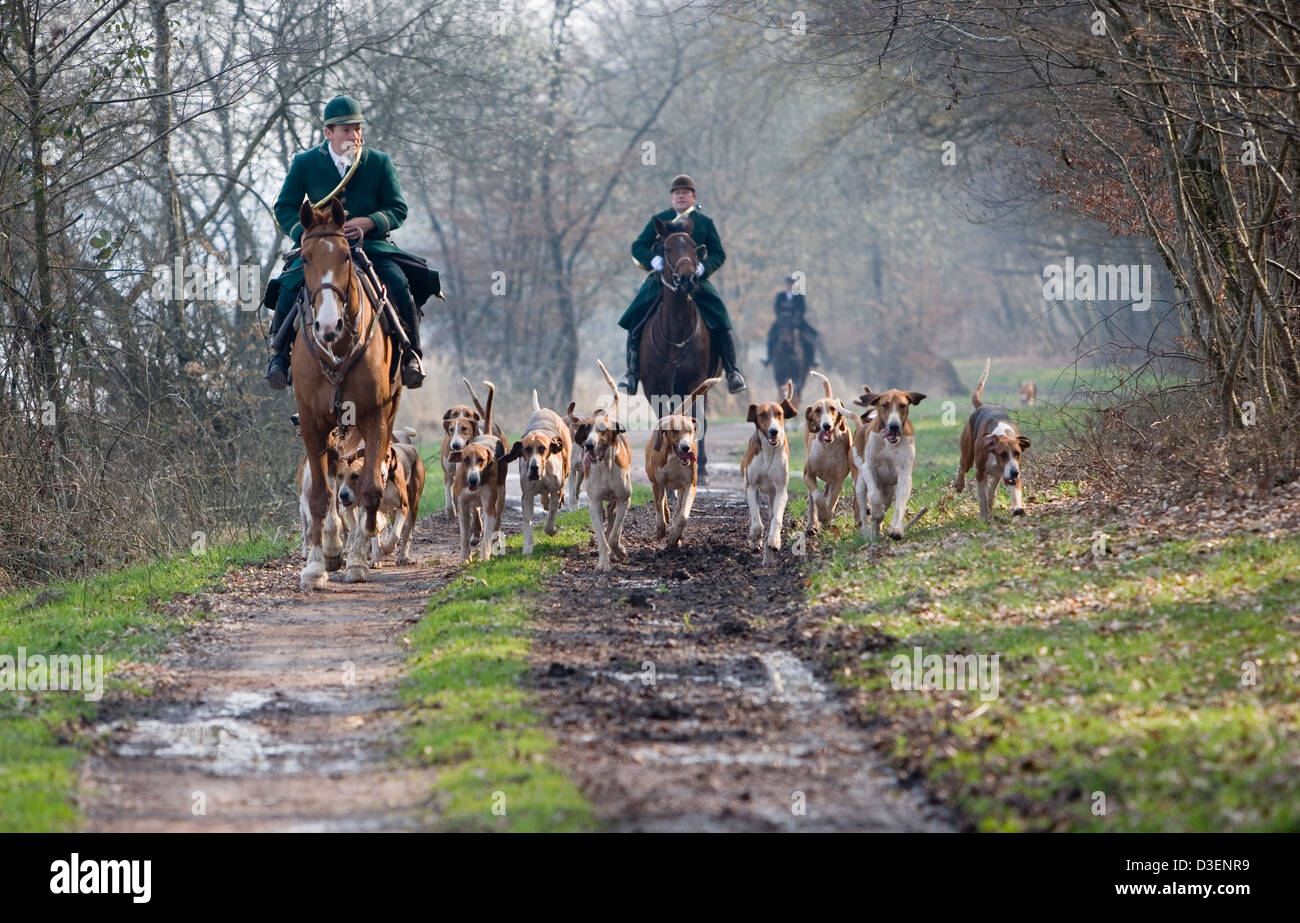 Die jagdhunde kommen an -Fotos und -Bildmaterial in hoher Auflösung – Alamy