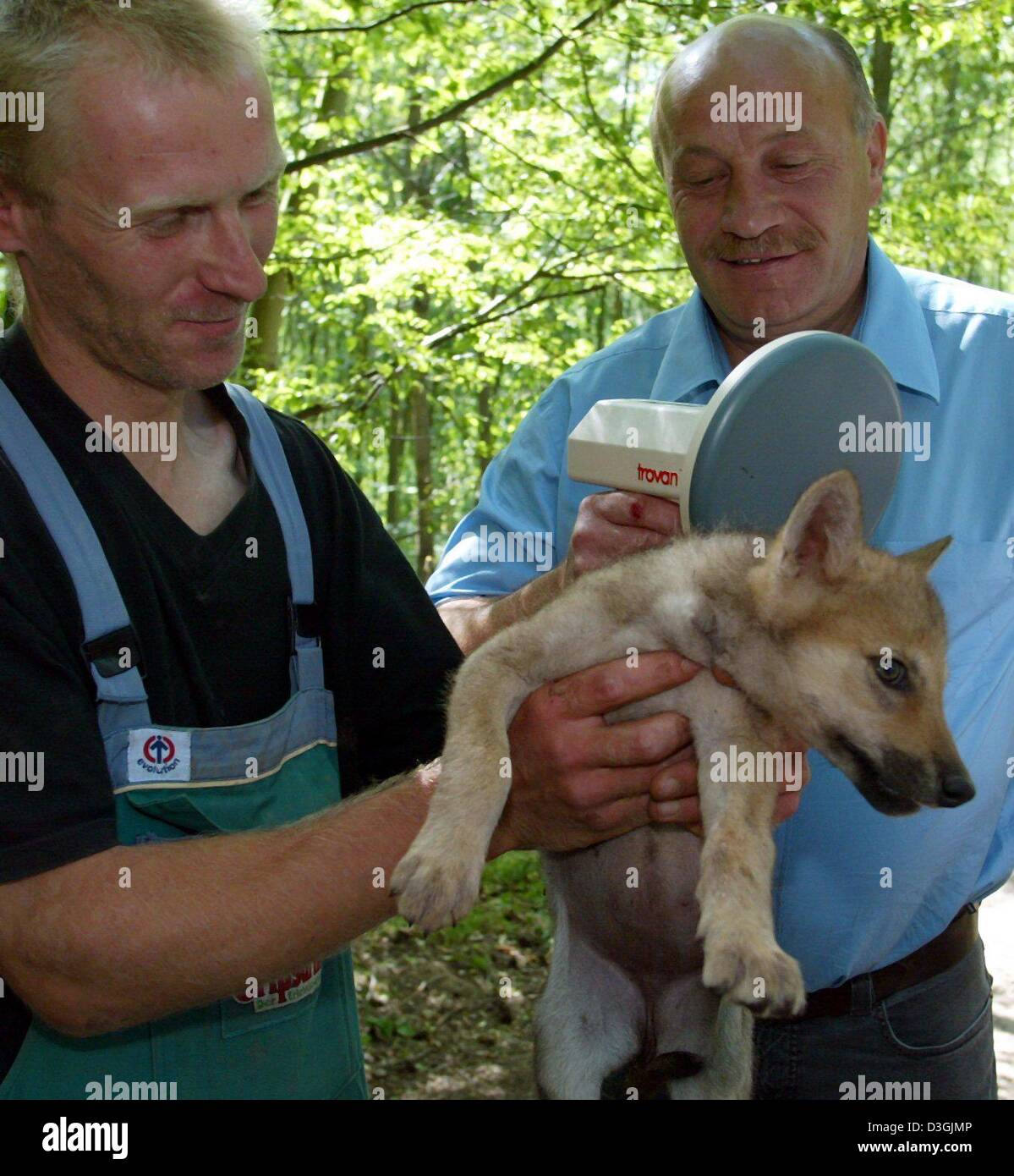 (Dpa) - Animal park Kopf Dieter Fischer (R) und Tierpfleger Michael ...
