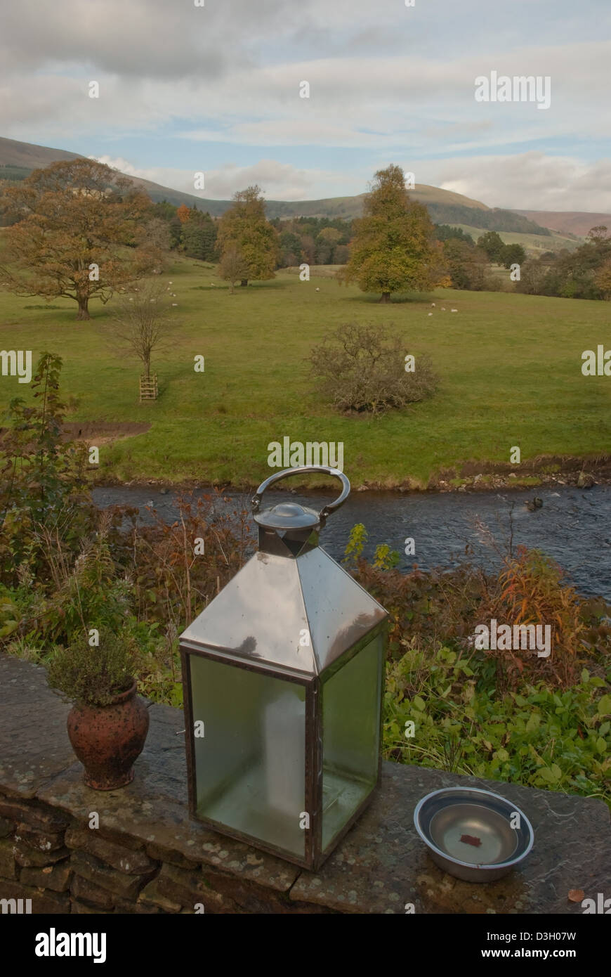 Cow ark -Fotos und -Bildmaterial in hoher Auflösung – Alamy