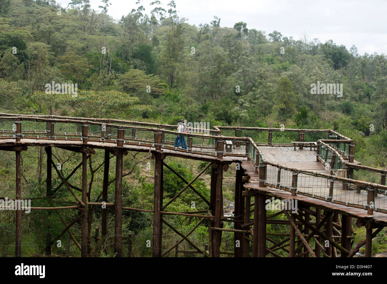 Promenade, Nairobi Safari zu Fuß, Nairobi-Nationalpark, Nairobi, Kenia ...