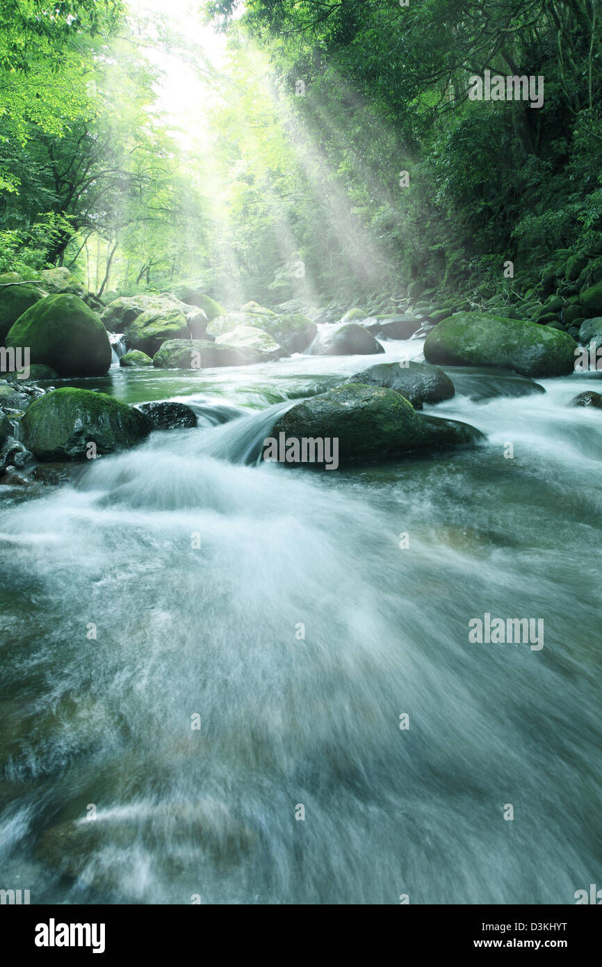 Amagi wassersystem -Fotos und -Bildmaterial in hoher Auflösung – Alamy